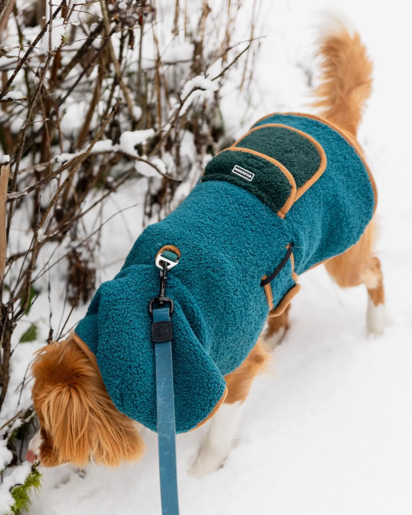 Dog Bed Manufacturers Durable Comfortable Pet Beds Dog Bed Manufacturers Durable Comfortable Pet Beds