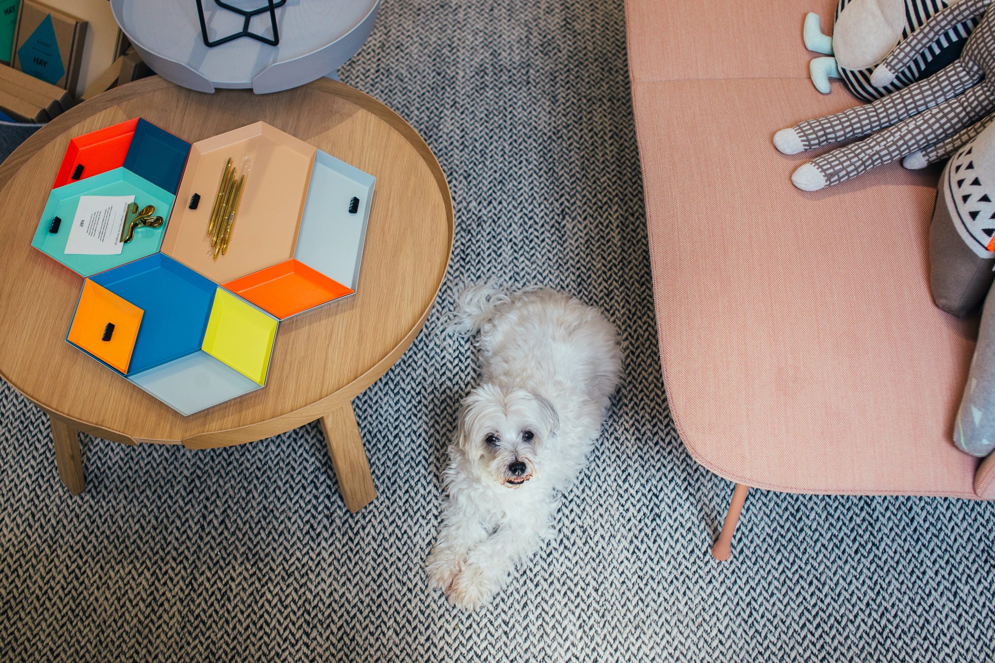 Why Are Pet Products So Expensive?