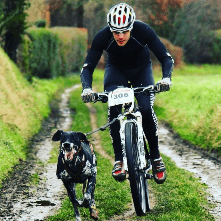 Biking With Dogs Dos and Don'ts for Canine Cycling