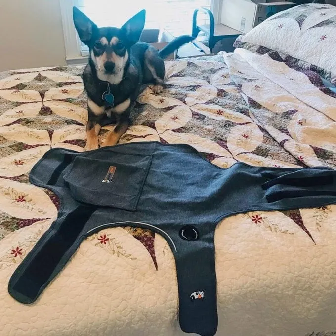 Are Thunder Jackets Good for Dogs? Expert Advice & Benefits