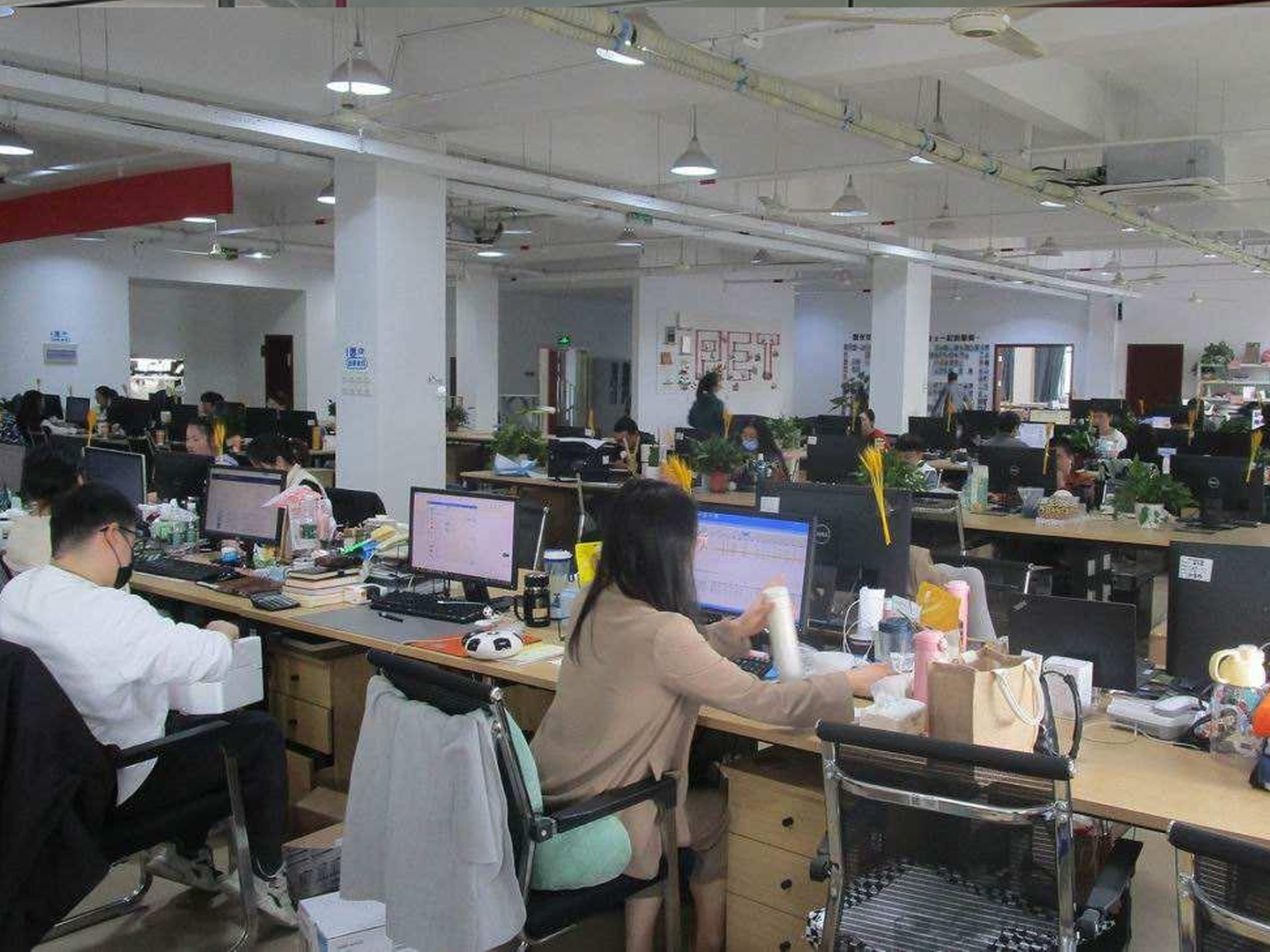 PecPets - Premier Pet Product factory in China