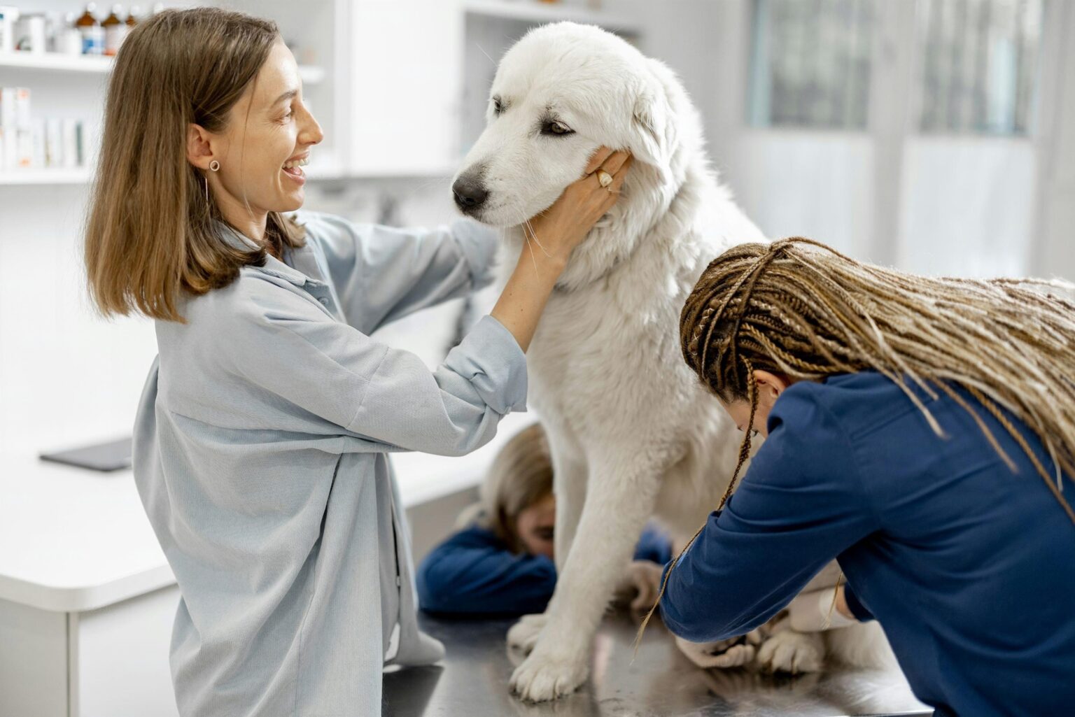 Lumps, Bumps, and Cysts on Dogs: A Comprehensive Guide